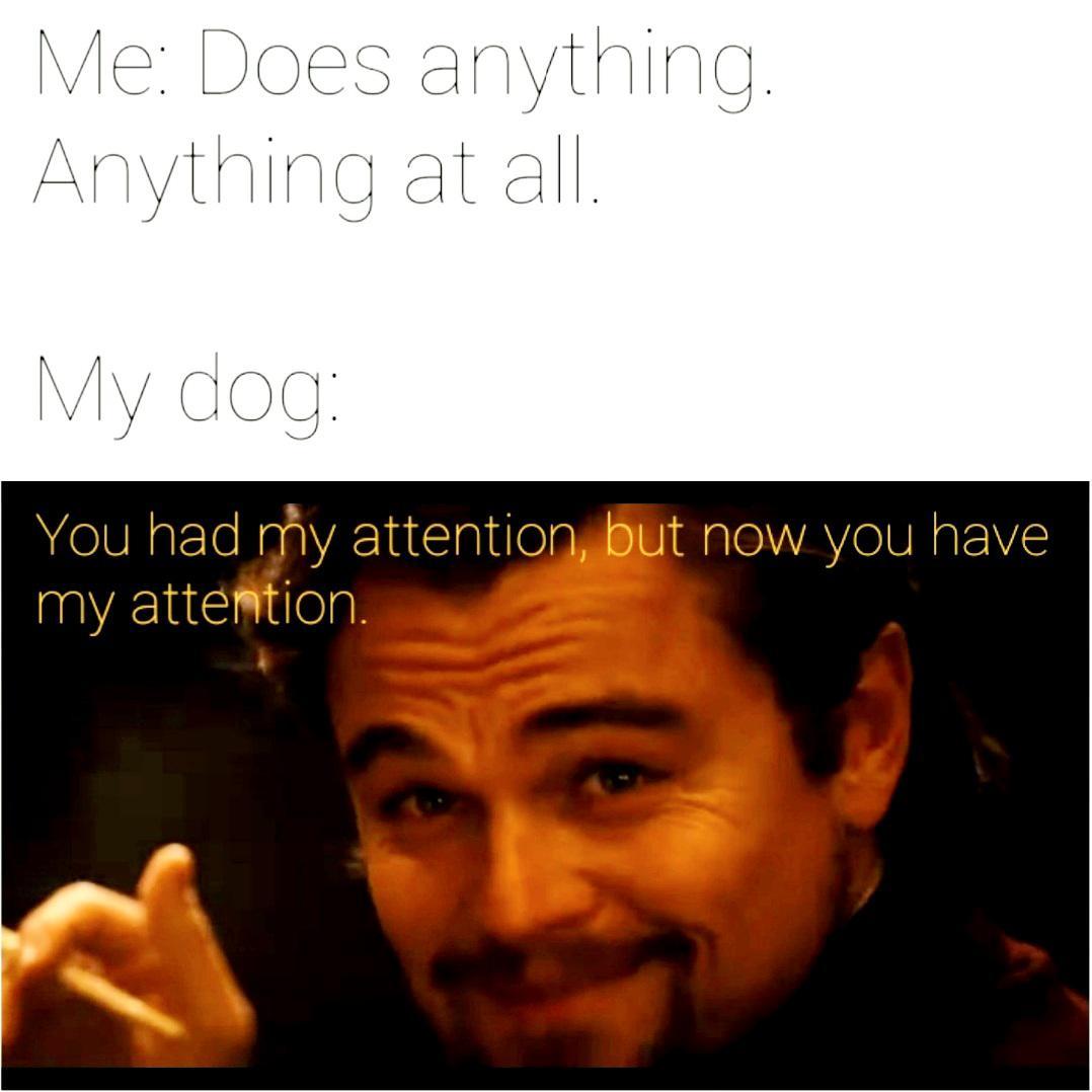 Say what?! | Scrolller