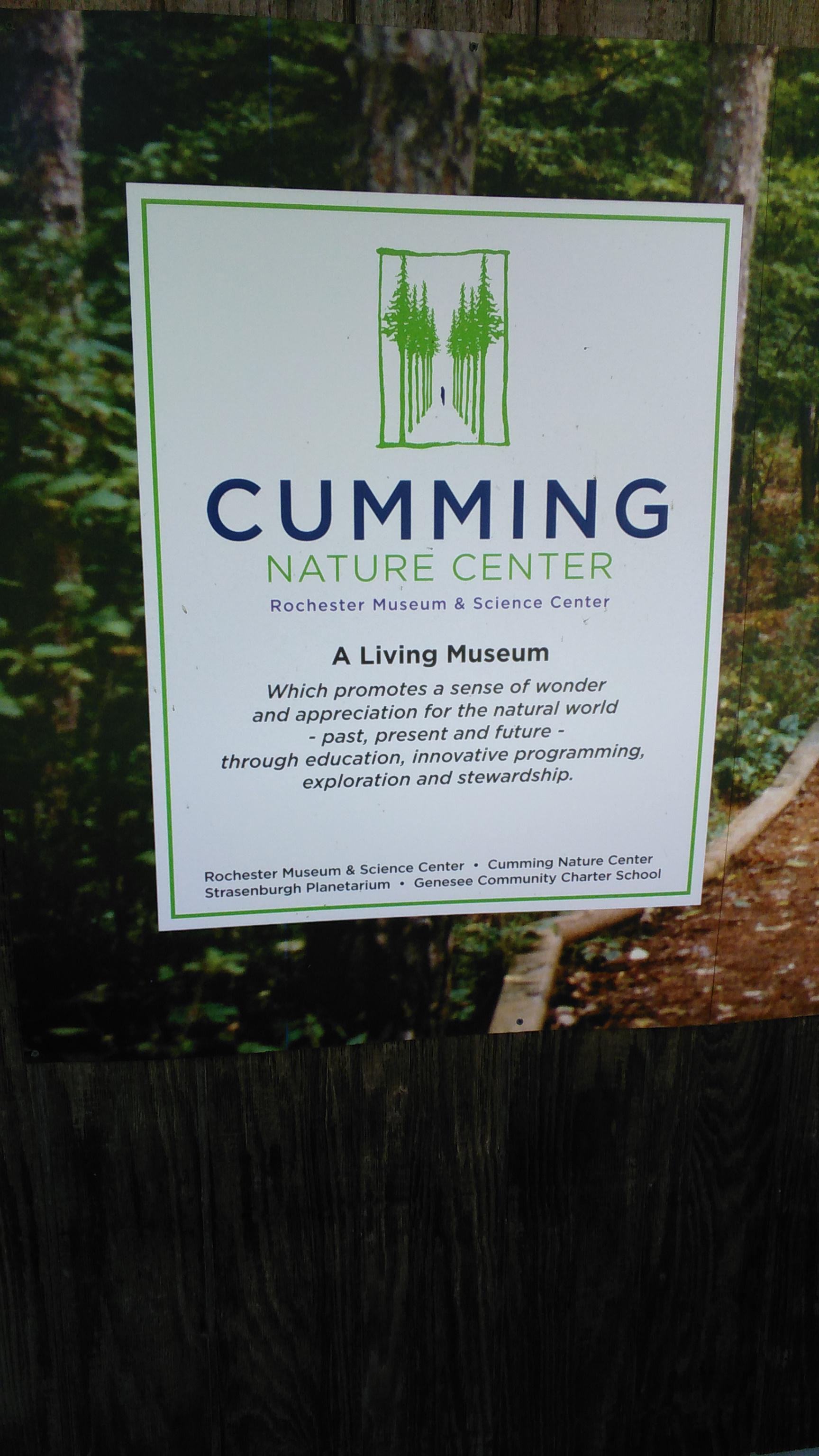 Say what?! | Scrolller