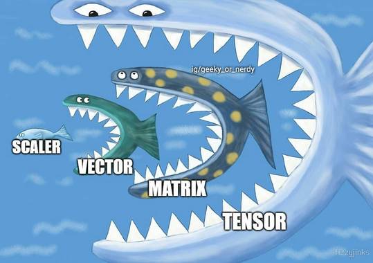 Scaler Vs Vector Vs Matrix Vs Tensor Scrolller