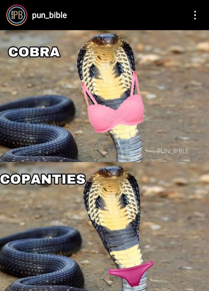 Scalie irl | Scrolller