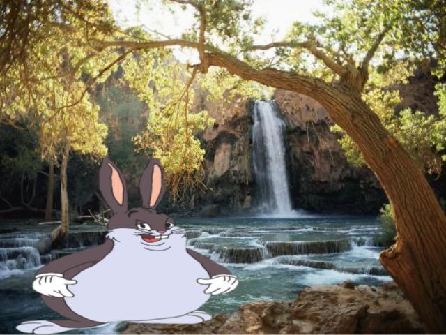 Scenic chungus | Scrolller