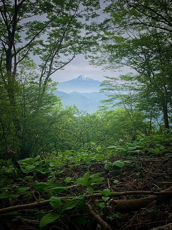 Scenic hike. | Scrolller