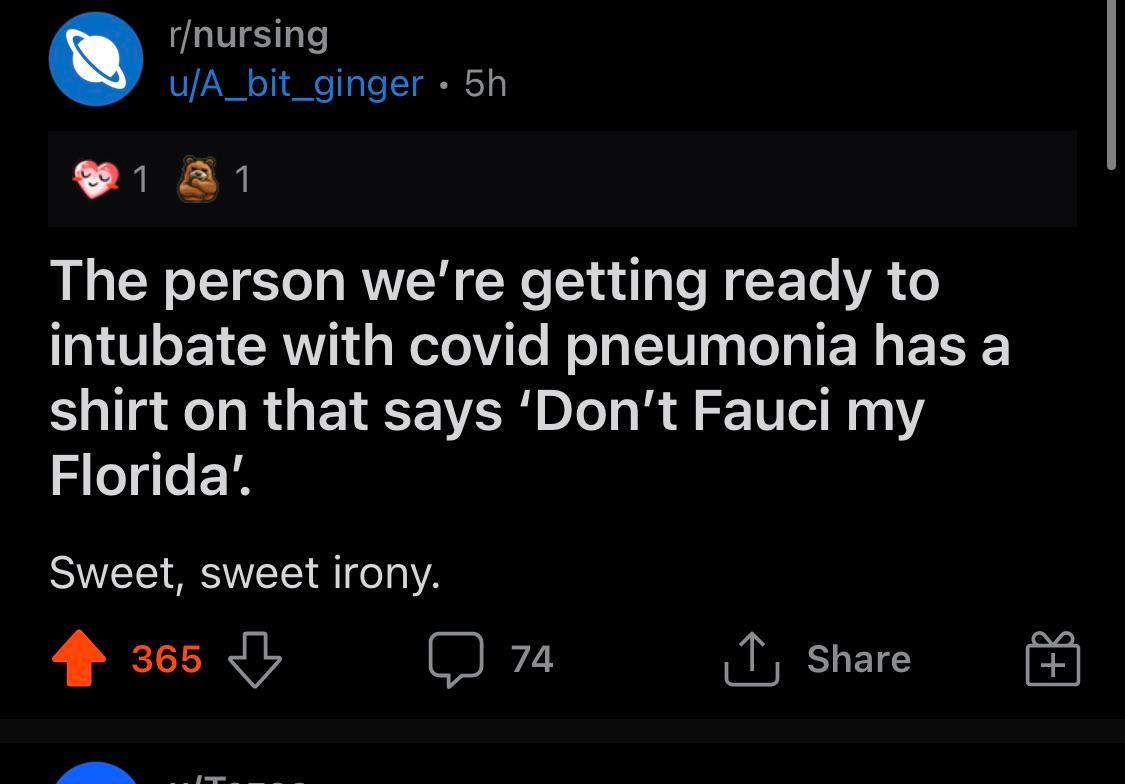 Schadenfreude overdose on this one | Scrolller