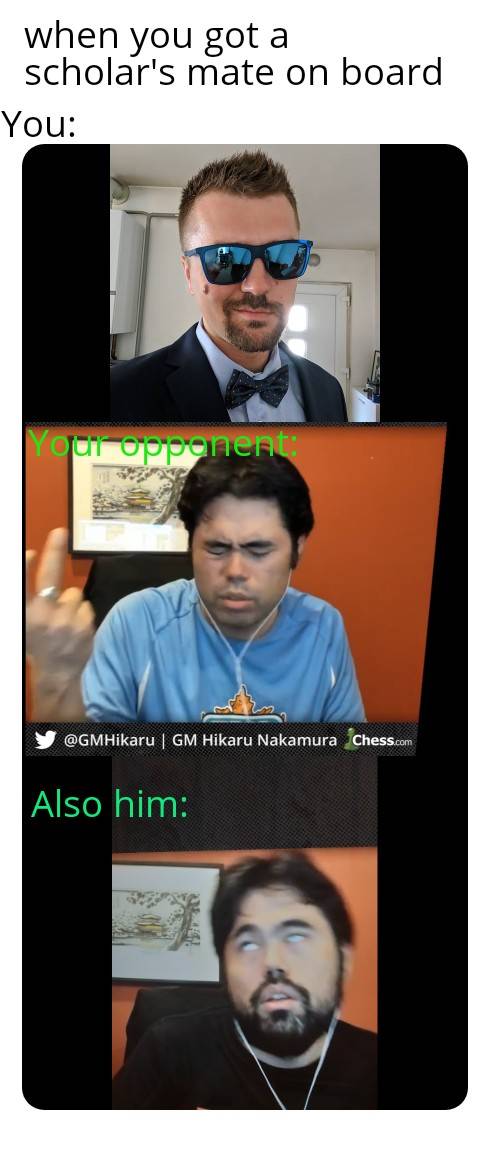 Scholar's mate | Scrolller