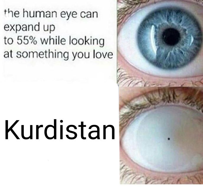 Science says it's true | Scrolller