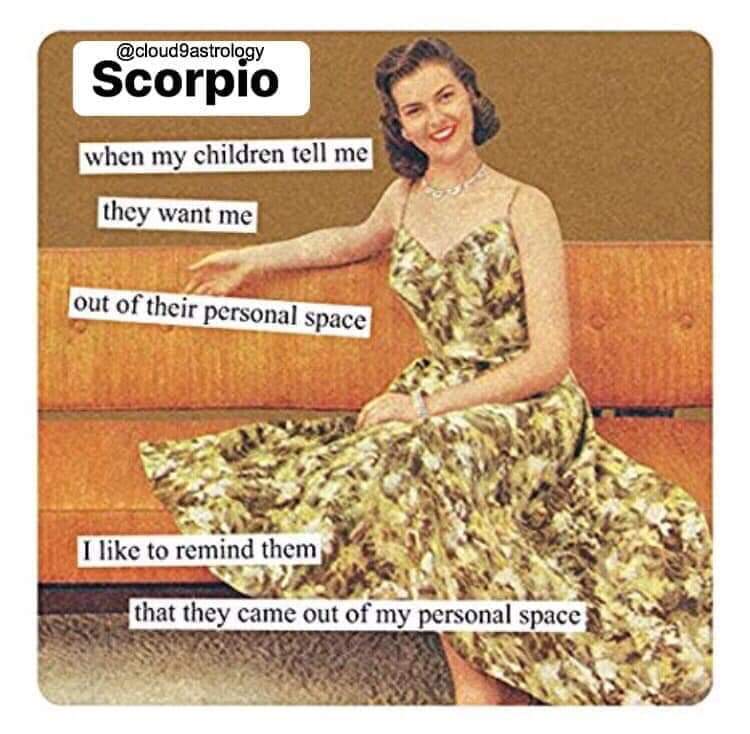 Scorpio Housewife | Scrolller