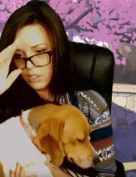 Scout Makes A Stream Appearance | Scrolller