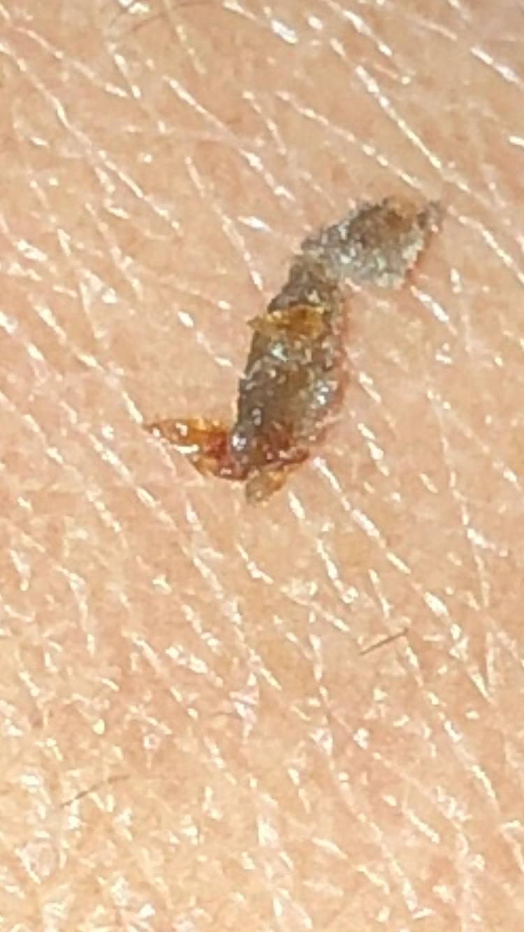 Scratched this out this morning | Scrolller