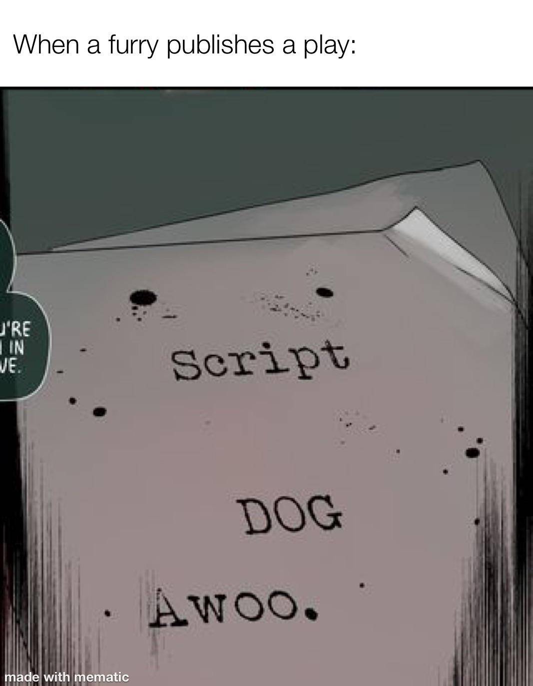 Script_irl | Scrolller