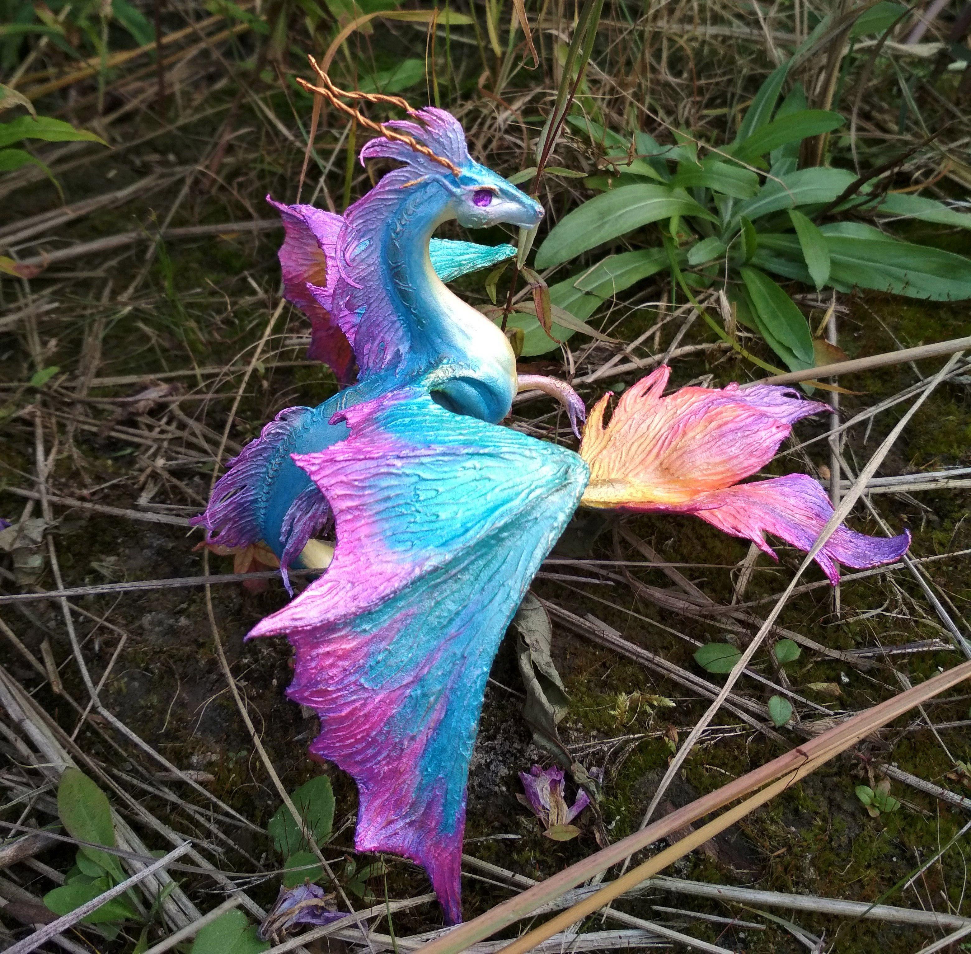 Sea dragon | Scrolller