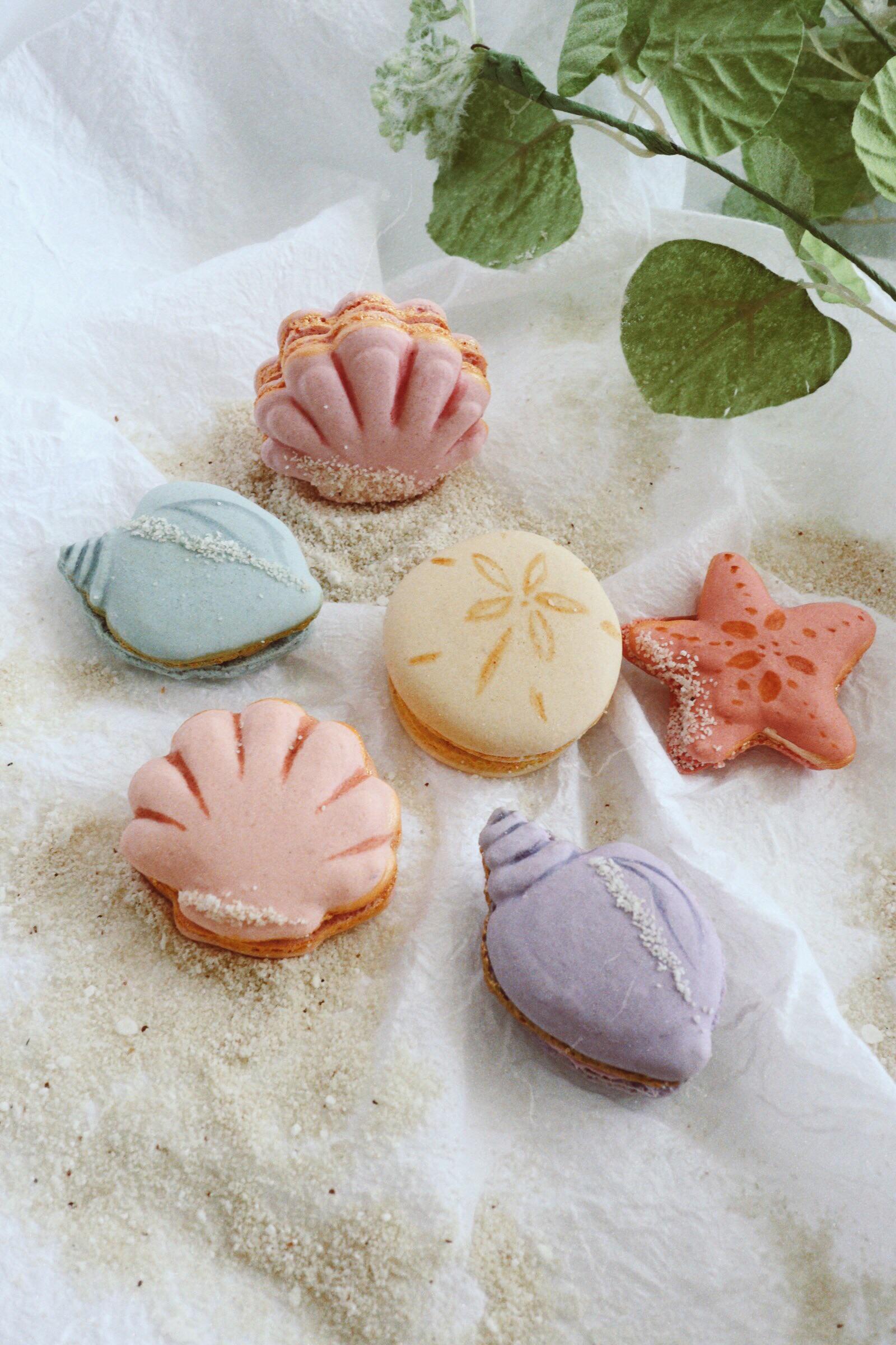 🐚Sea shell Macarons | Scrolller