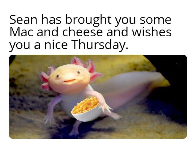 Sean is back with some Mac and cheese | Scrolller