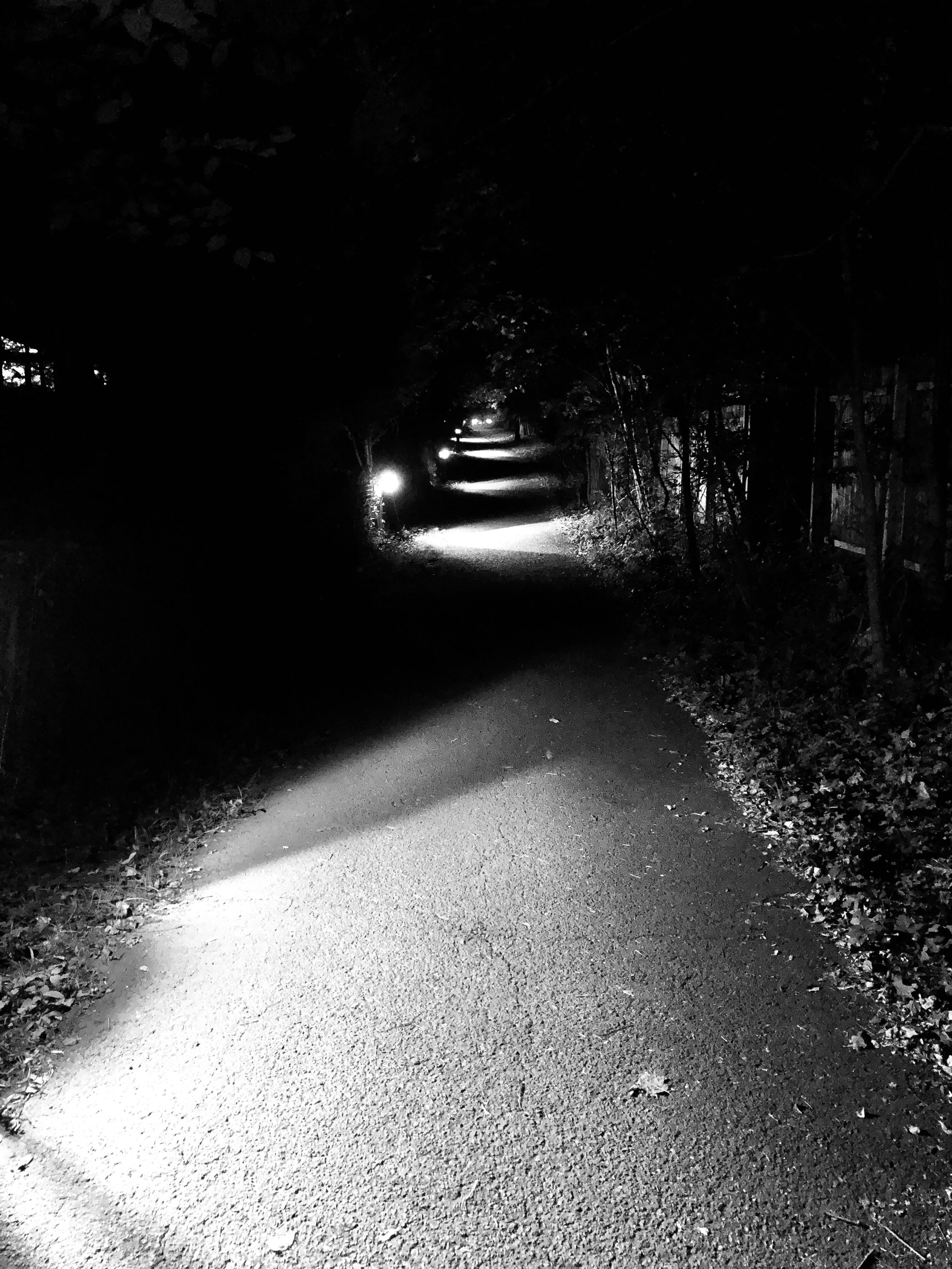 Secluded pathway | Scrolller