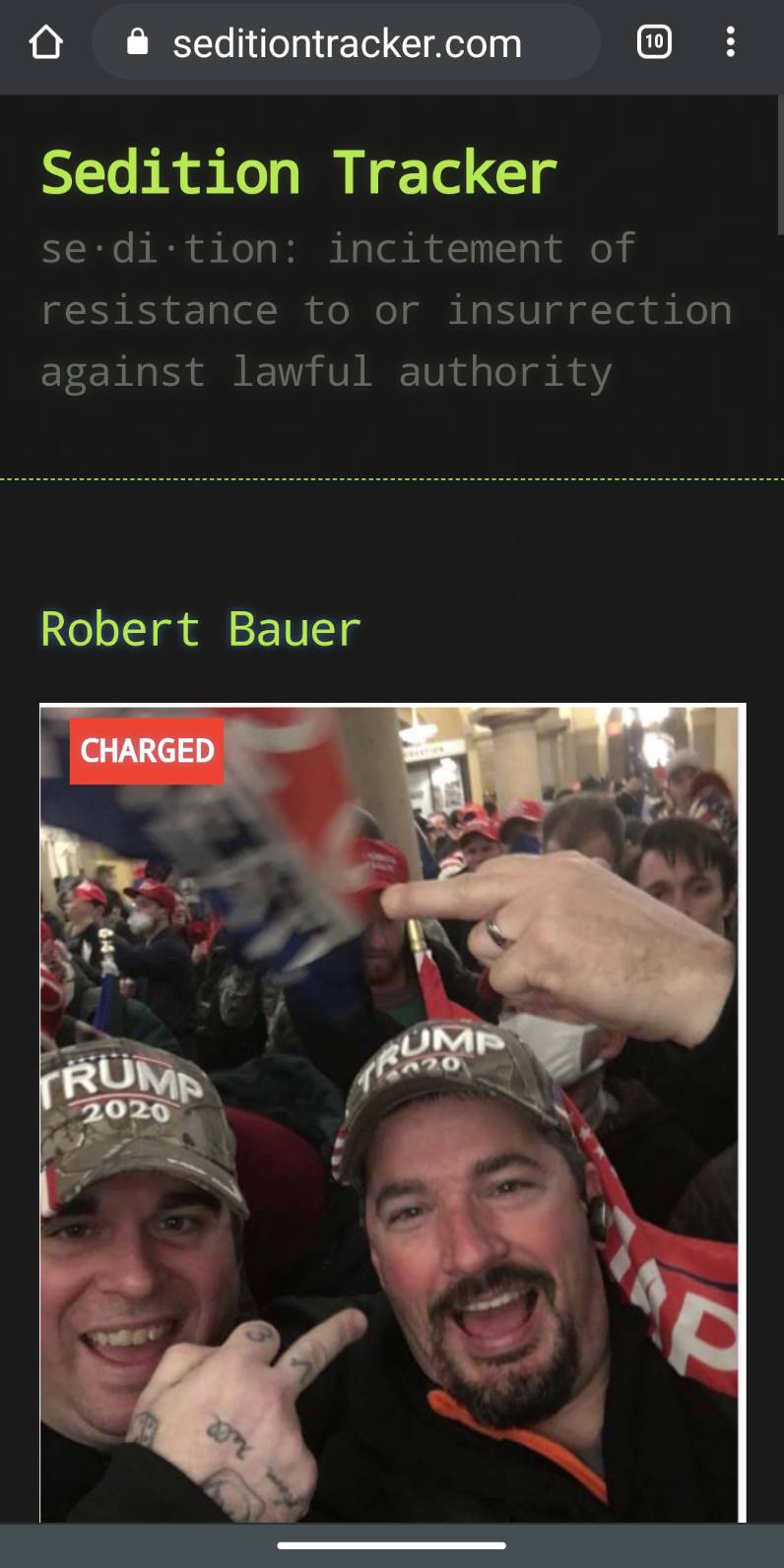 Seditiontracker.com: Gotta Catch Em' All (Website tracks arrests made from the Trump Riots ...