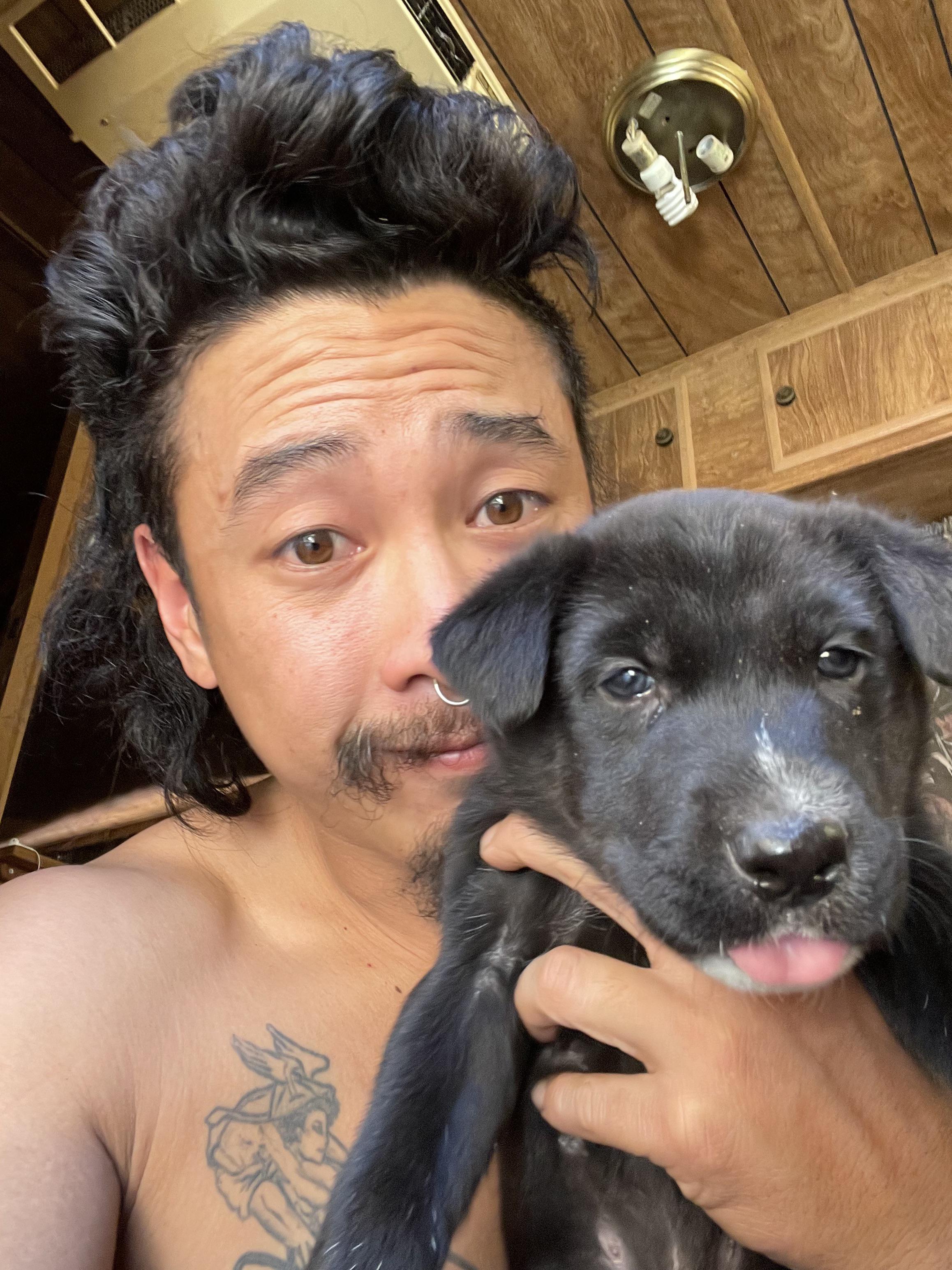 [self] Meet my furbaby Blacksmith | Scrolller