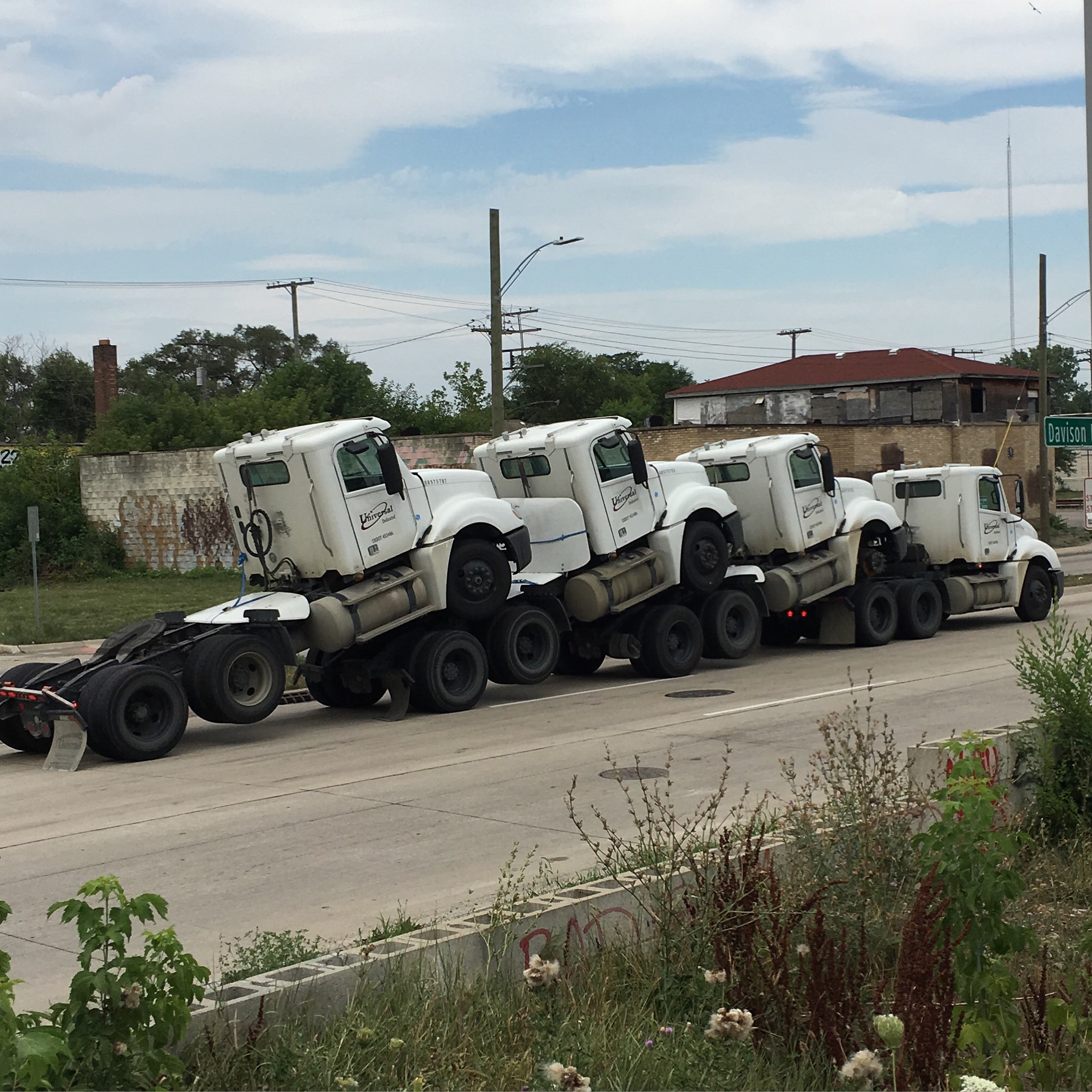 Semi centipede | Scrolller