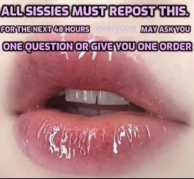 send me orders | Scrolller