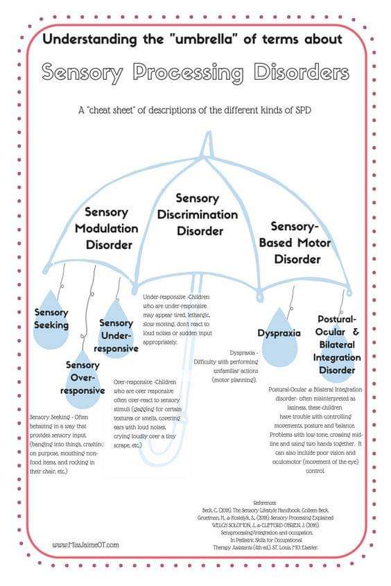 Sensory Processing Guide | Scrolller