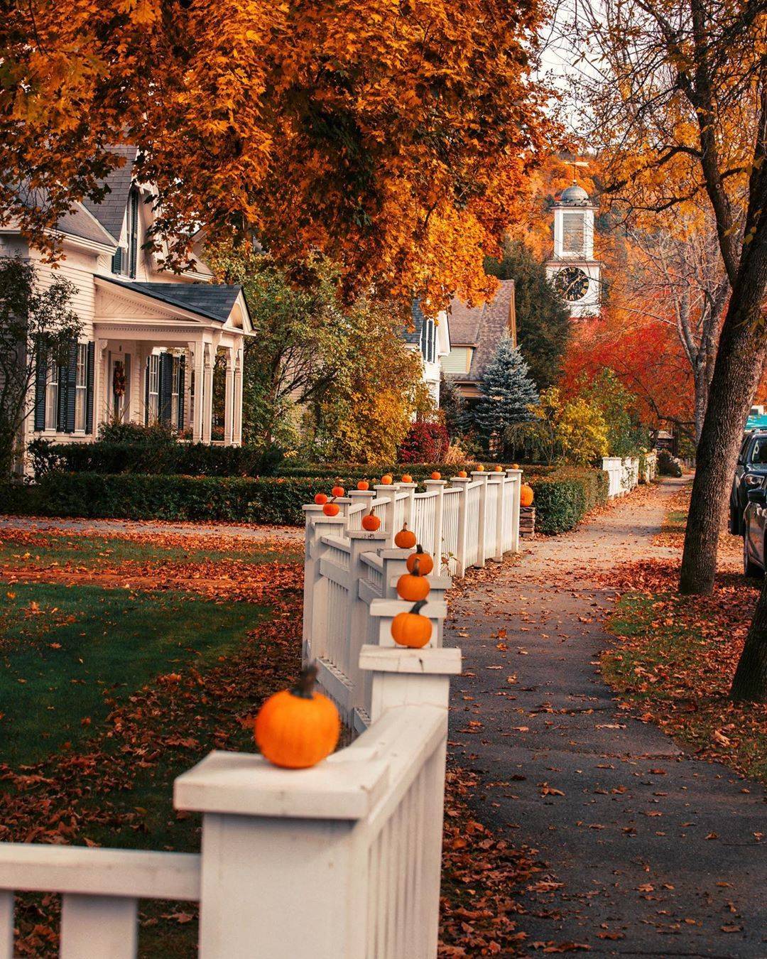 Sentinels standing gourd | Scrolller