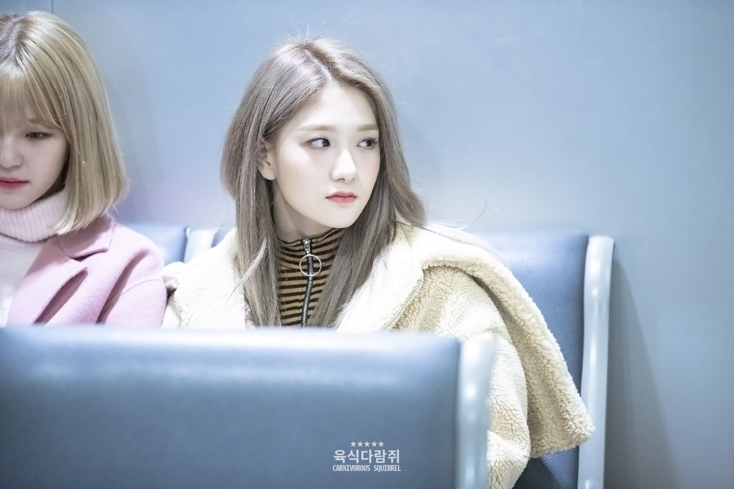 Serious Panda | Scrolller