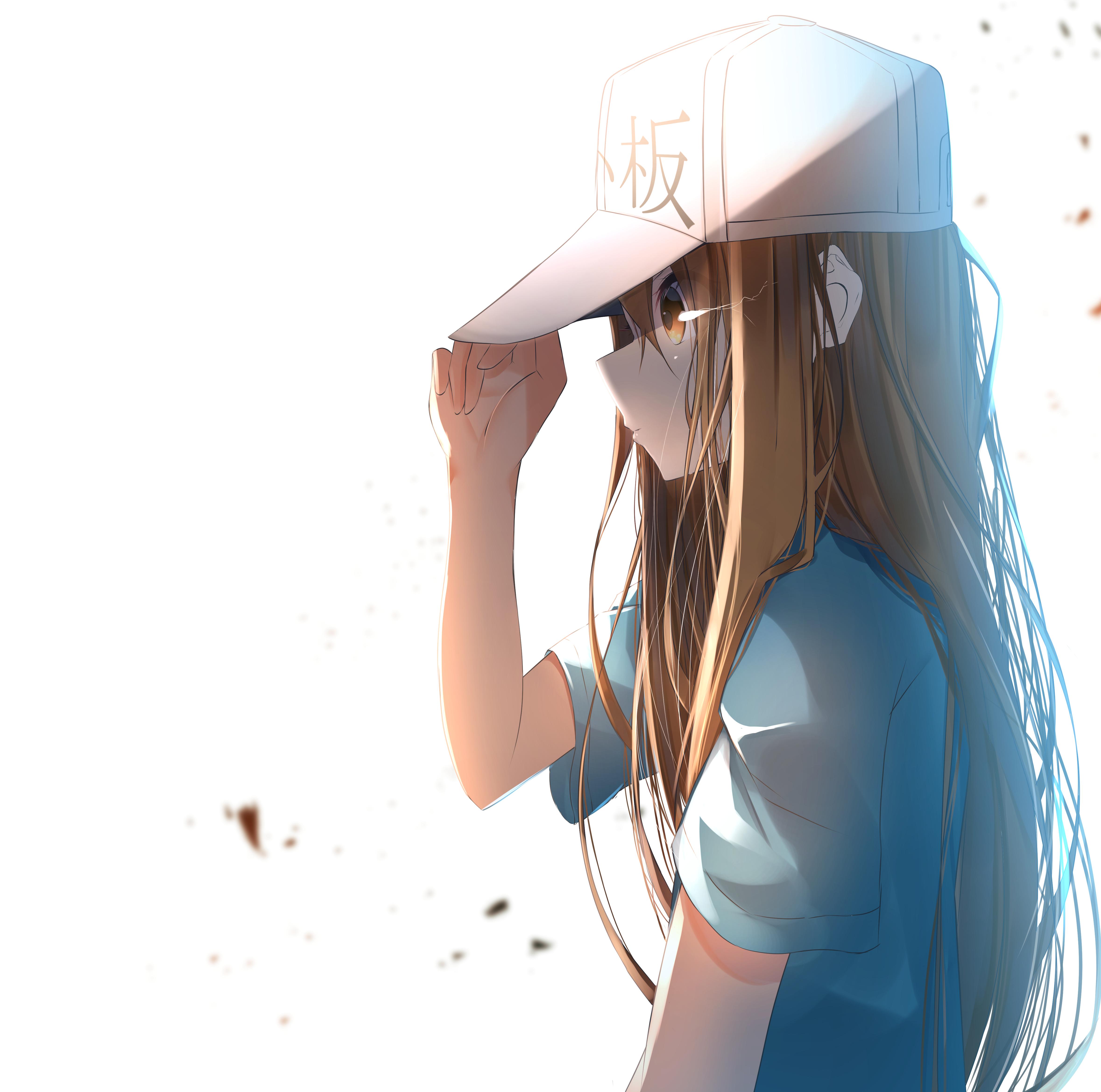 Serious platelet | Scrolller