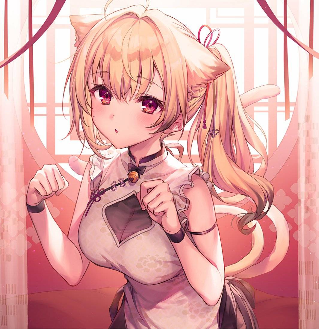 [SFW] China Dress Neko | Scrolller