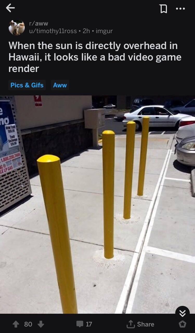 Cute, bad render? | Scrolller