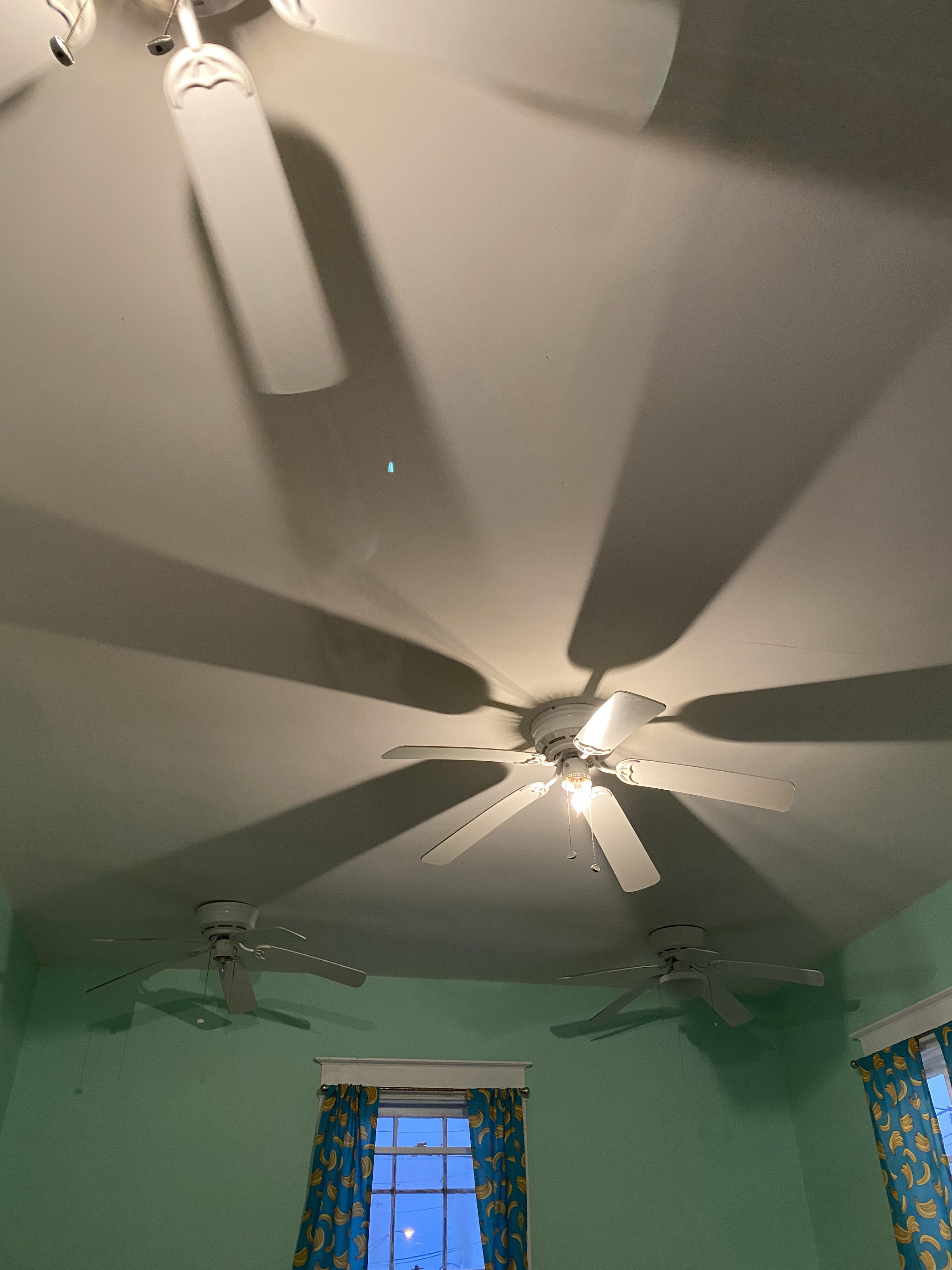 Shadow fans | Scrolller