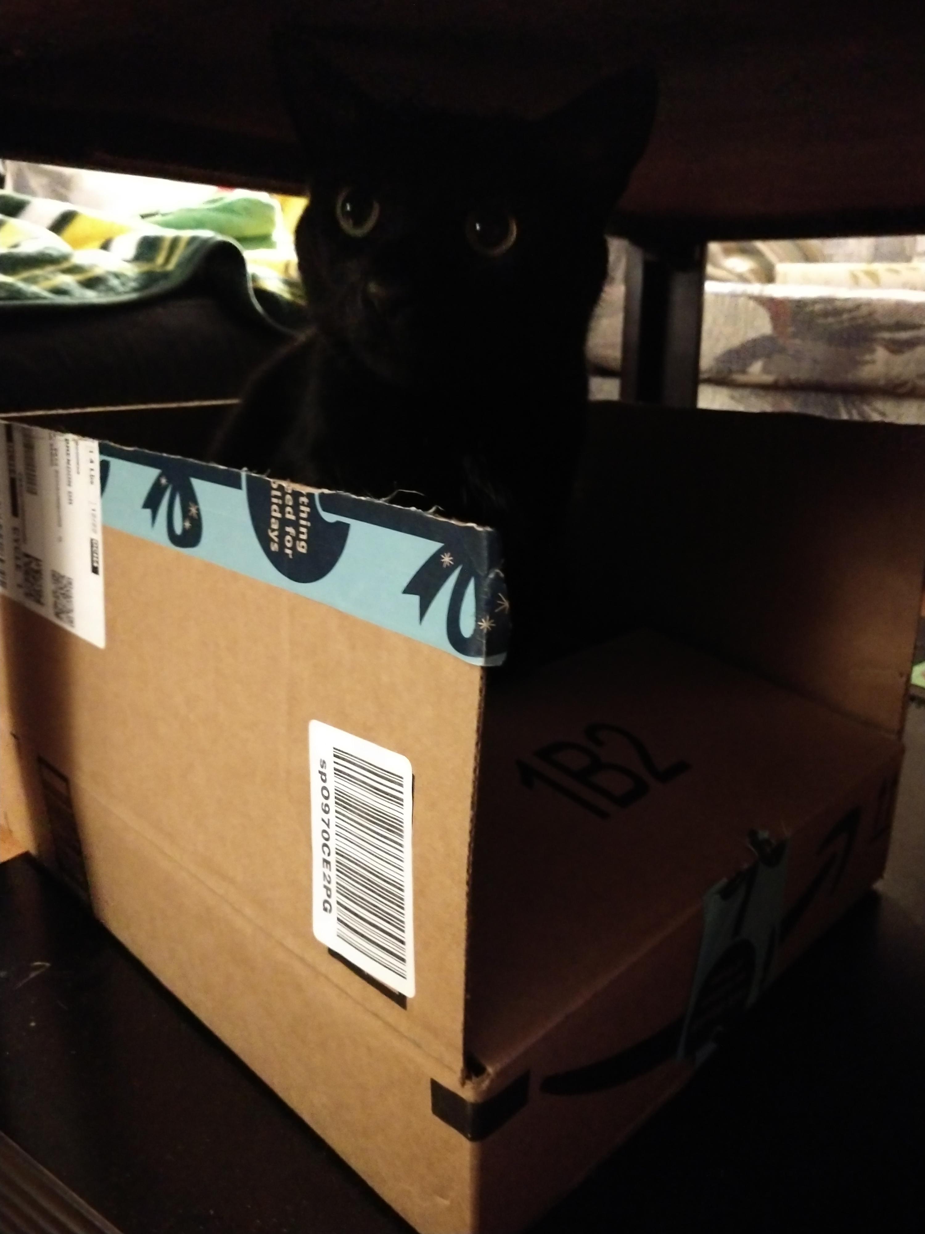 Shadow in Amazon box | Scrolller