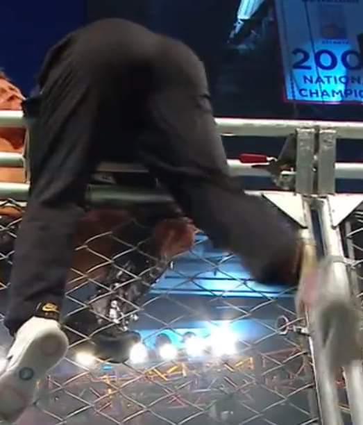 Shane McMahon | Scrolller