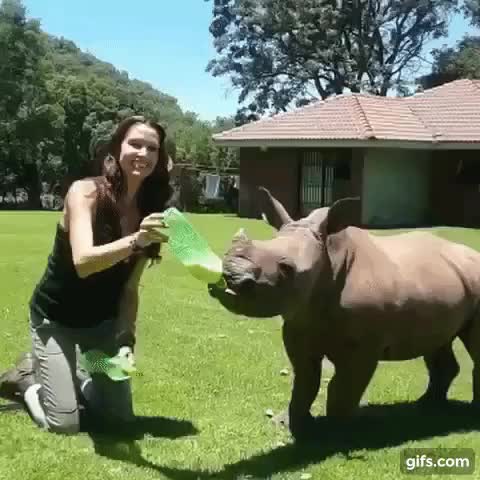 Shannon Elizabeth feeding a baby rhino | Scrolller