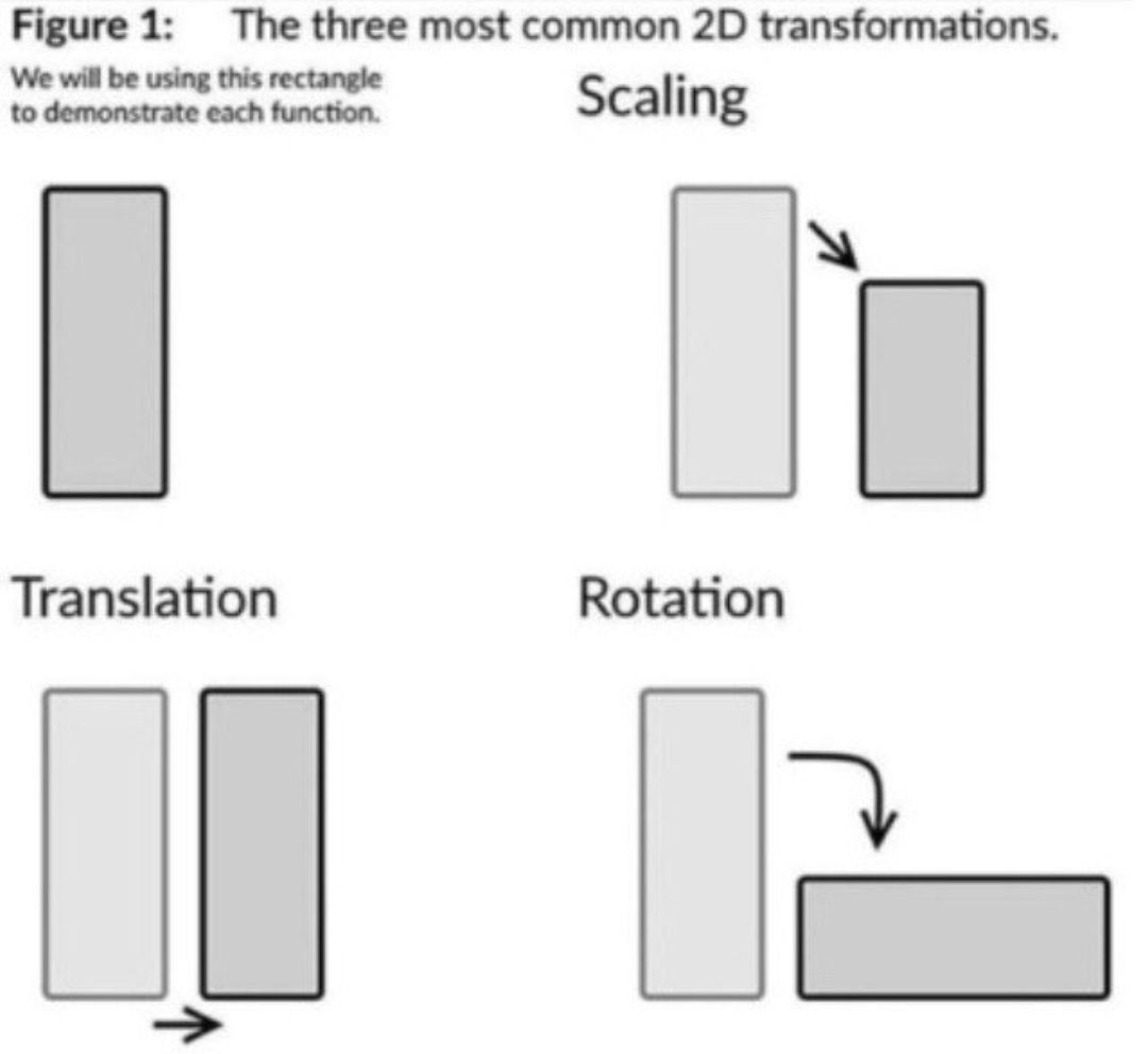 shapes rule | Scrolller