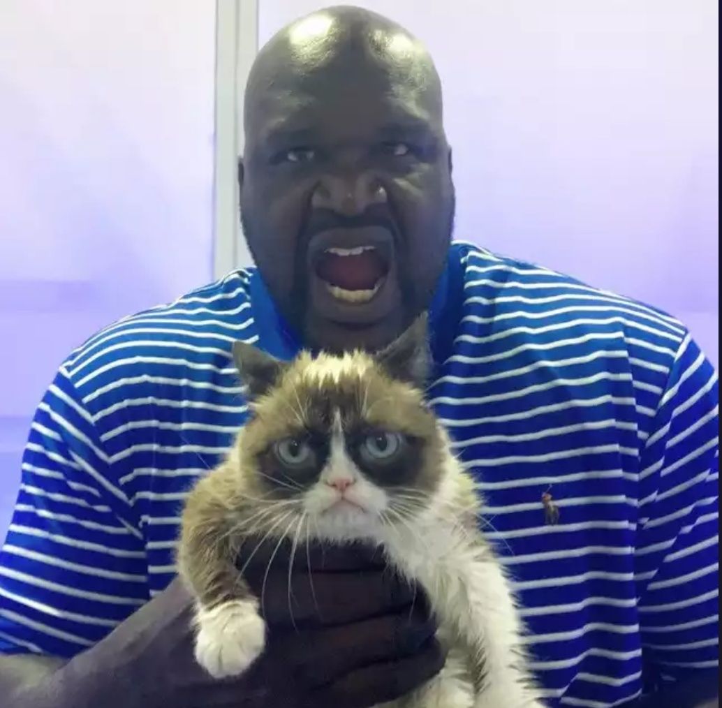 Shaq holding Grumpy Cat | Scrolller