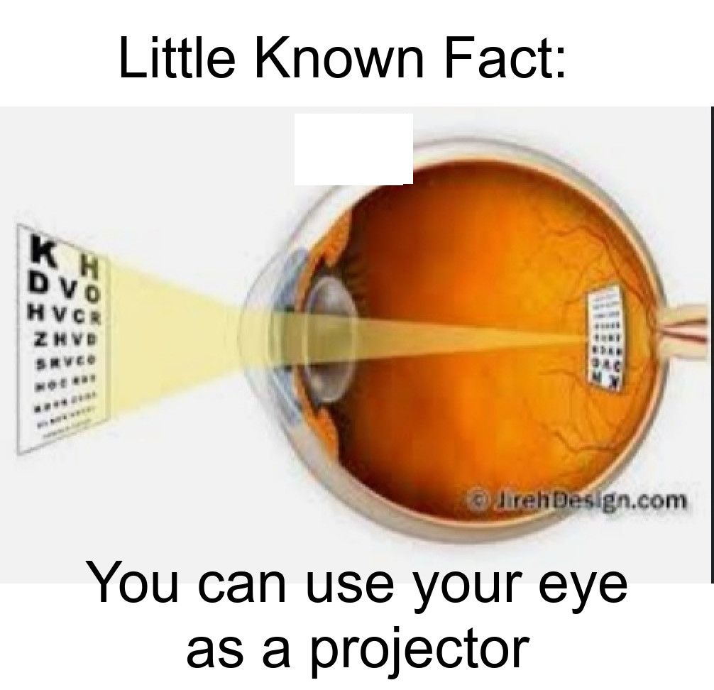 Sharing Memories | Scrolller