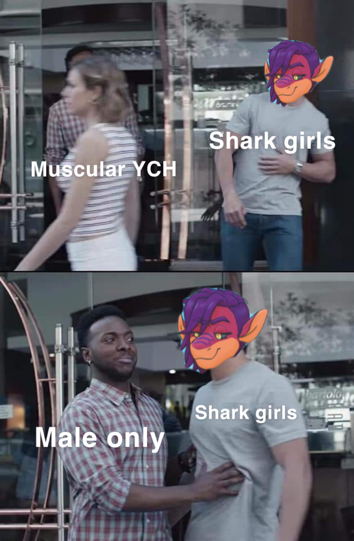 shark_irl | Scrolller