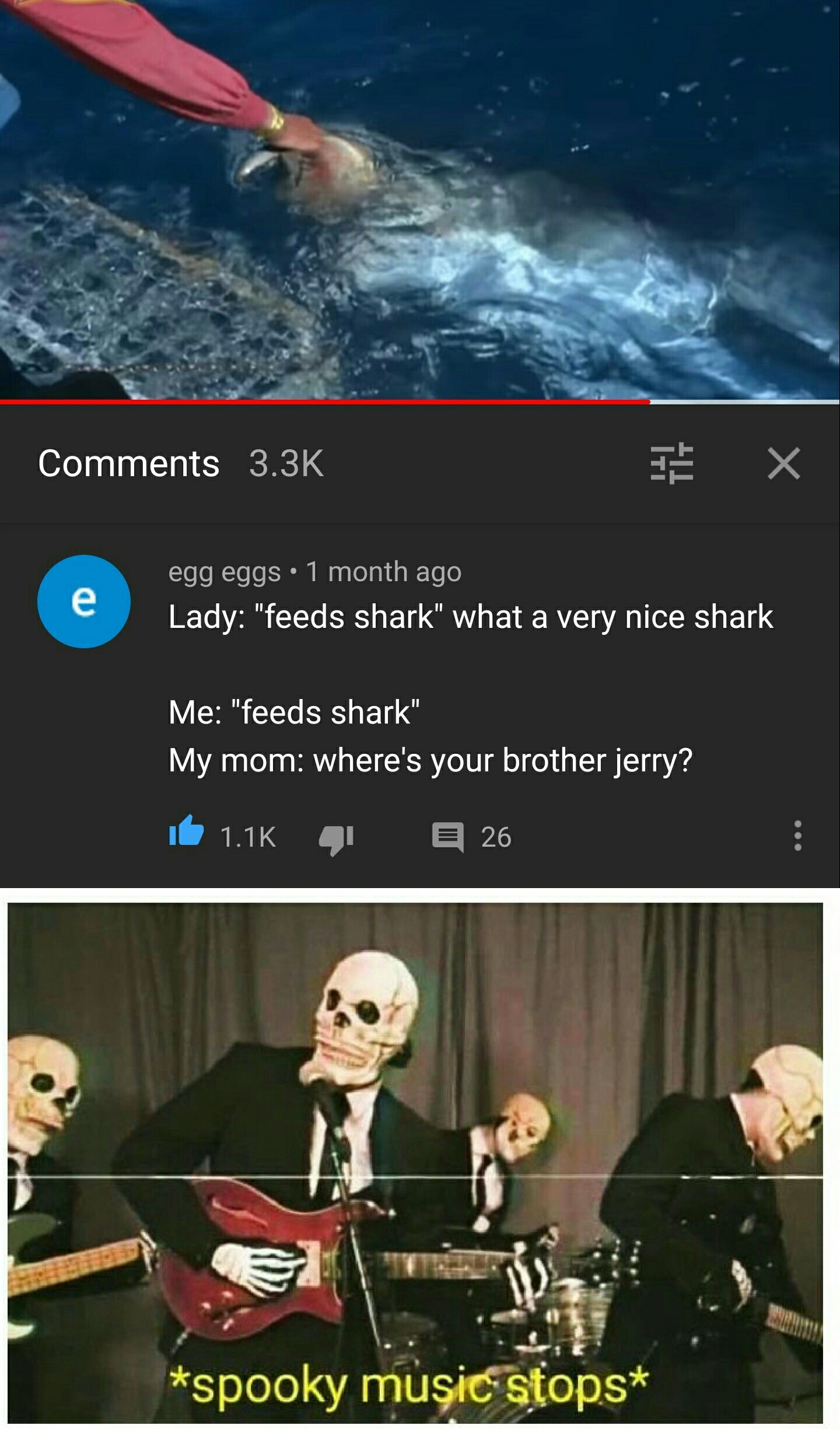 sharks are majestic creatures | Scrolller