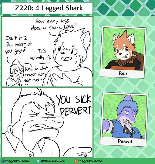 sharks_irl | Scrolller