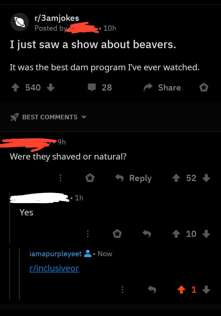 Shaved or Natural Beavers | Scrolller