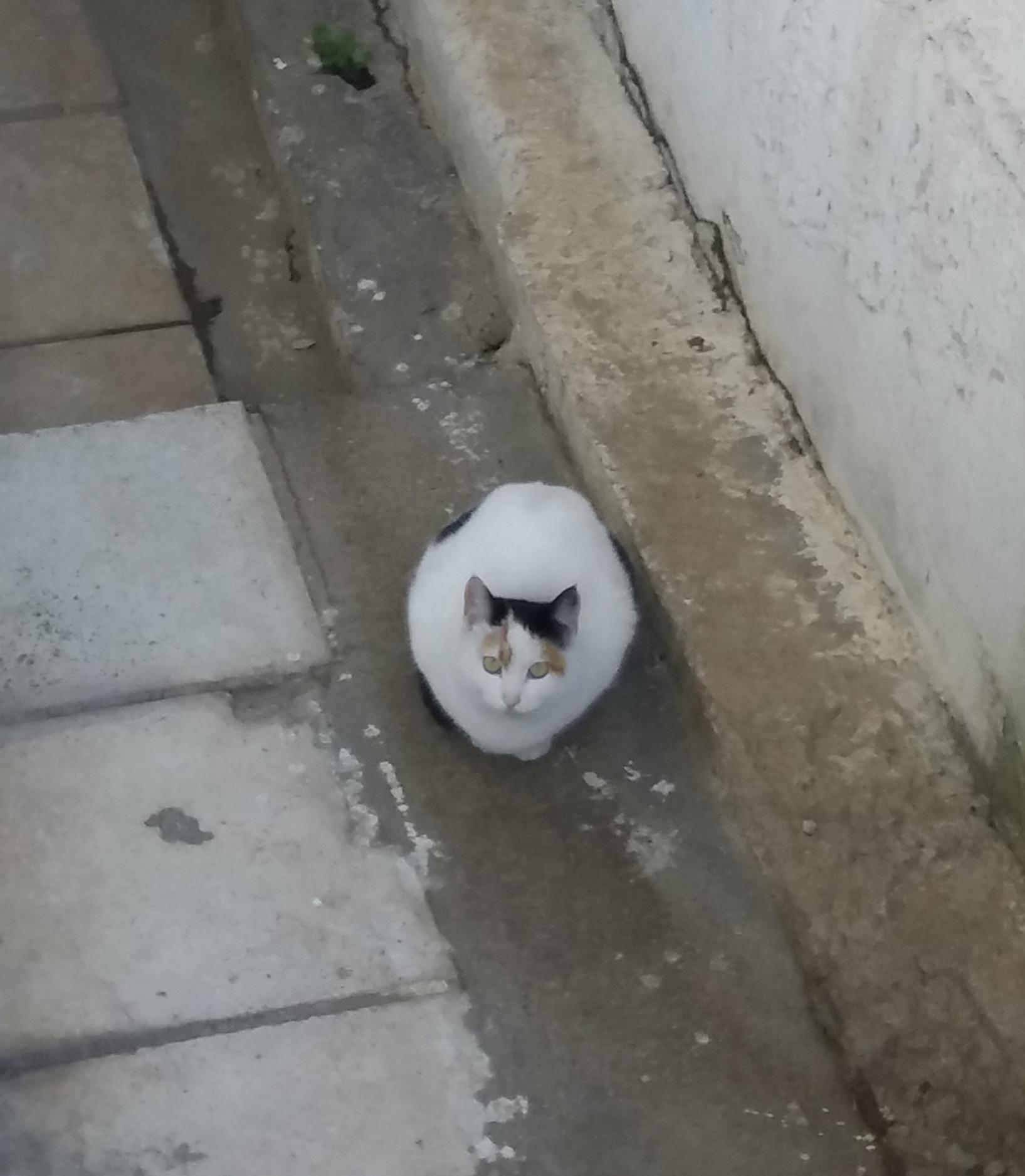 She a big loaf | Scrolller