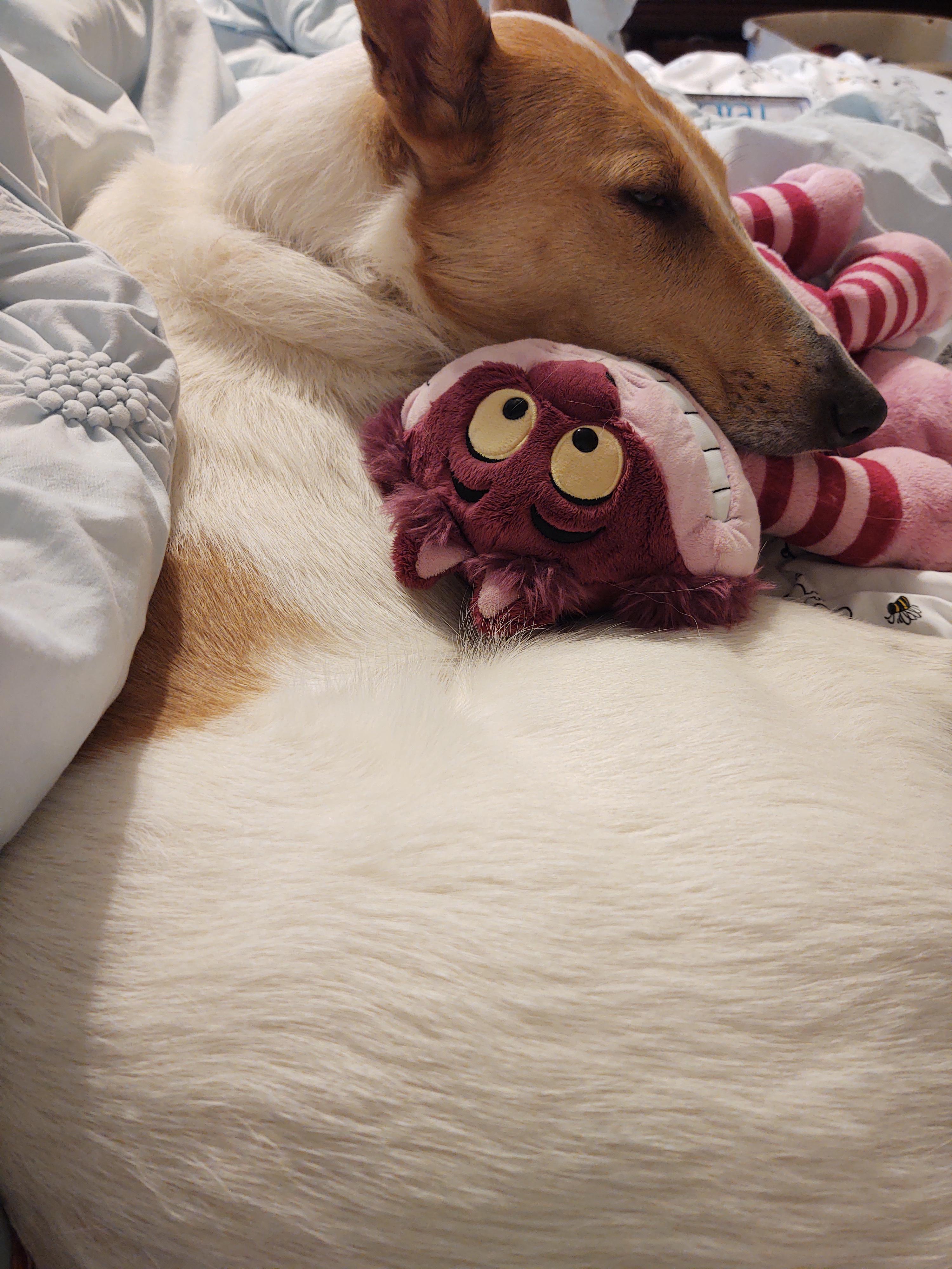 She always cuddles with a stuffed animal. | Scrolller