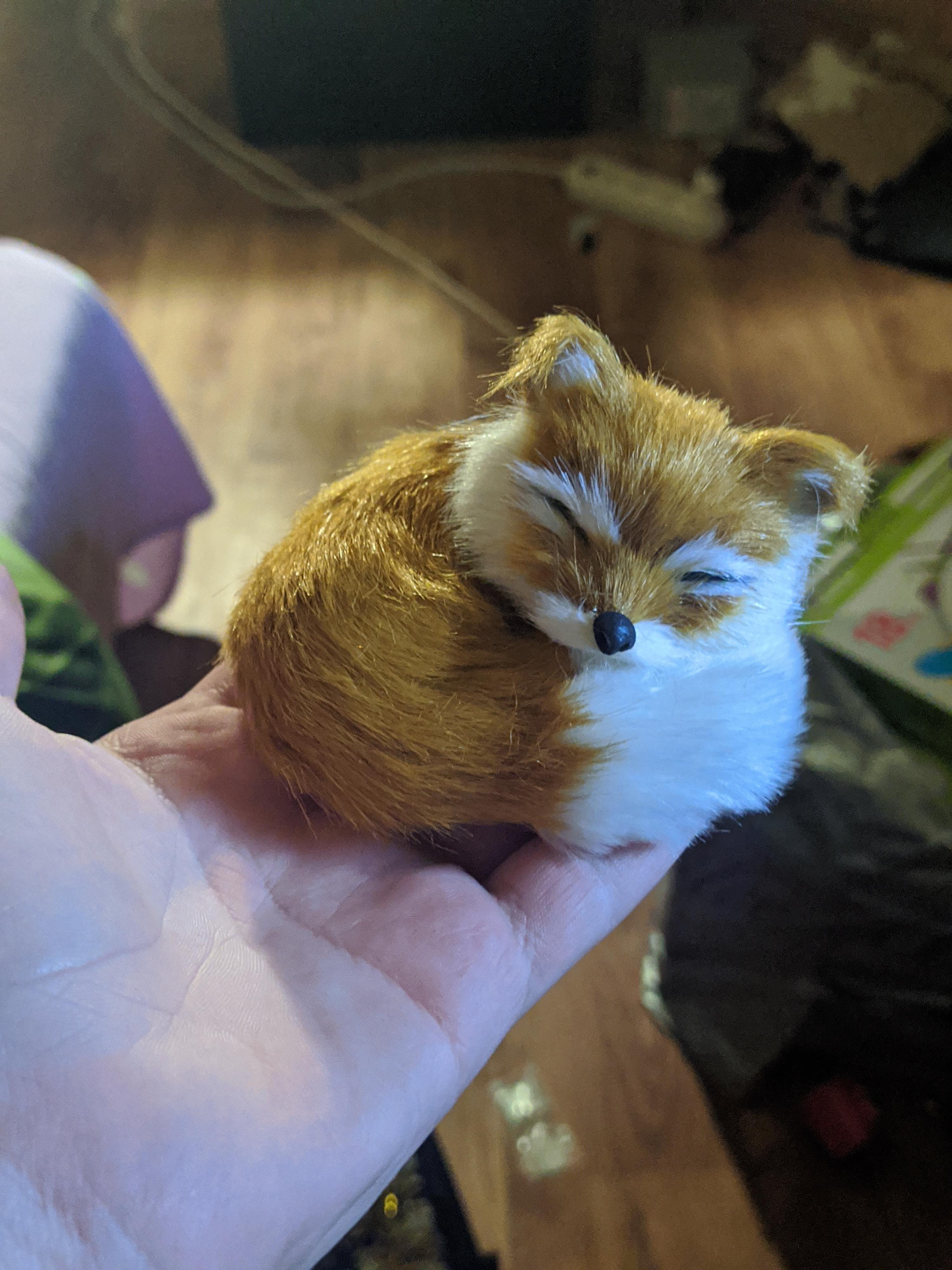 She arrived! | Scrolller