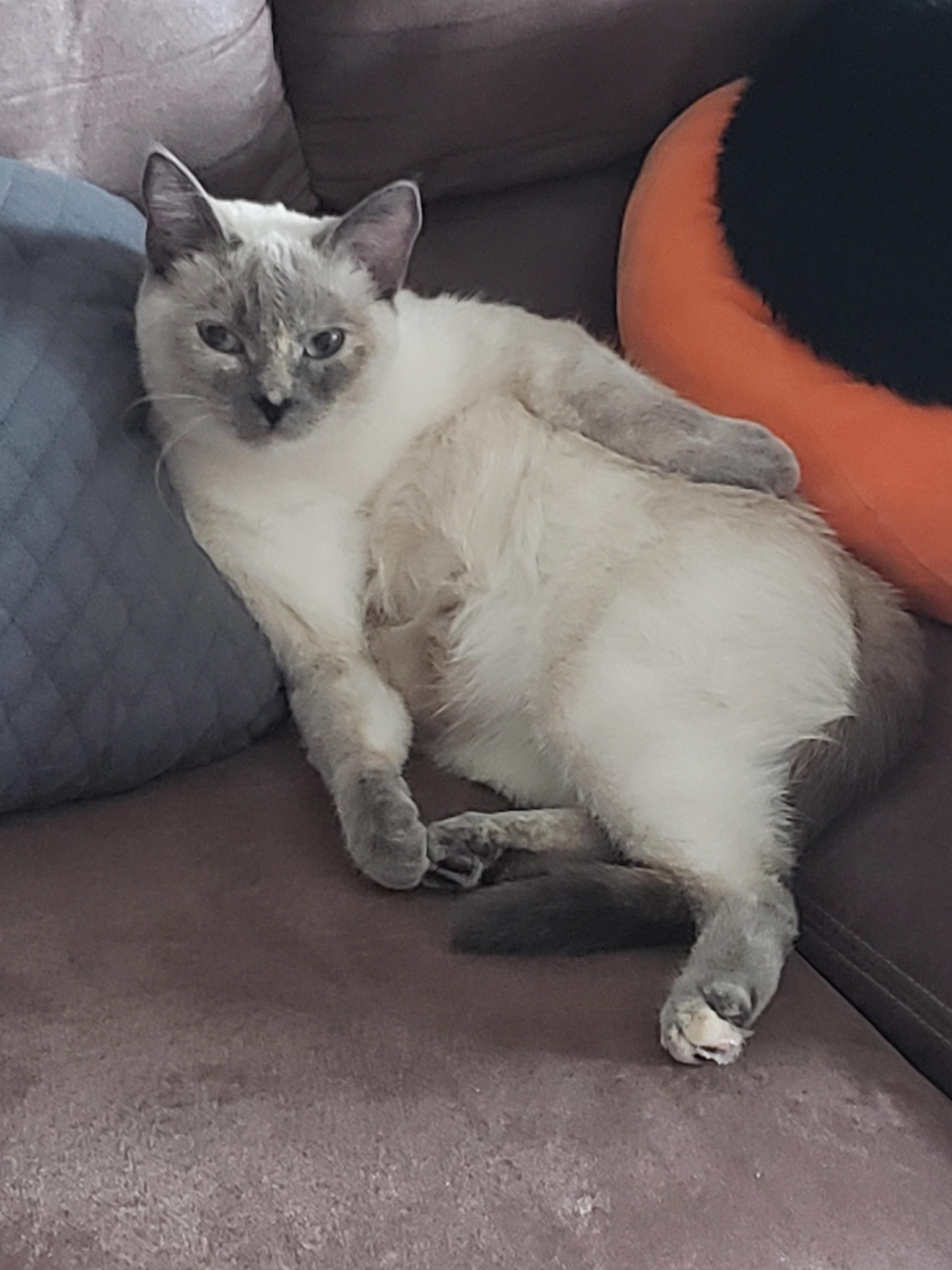 She Bath | Scrolller