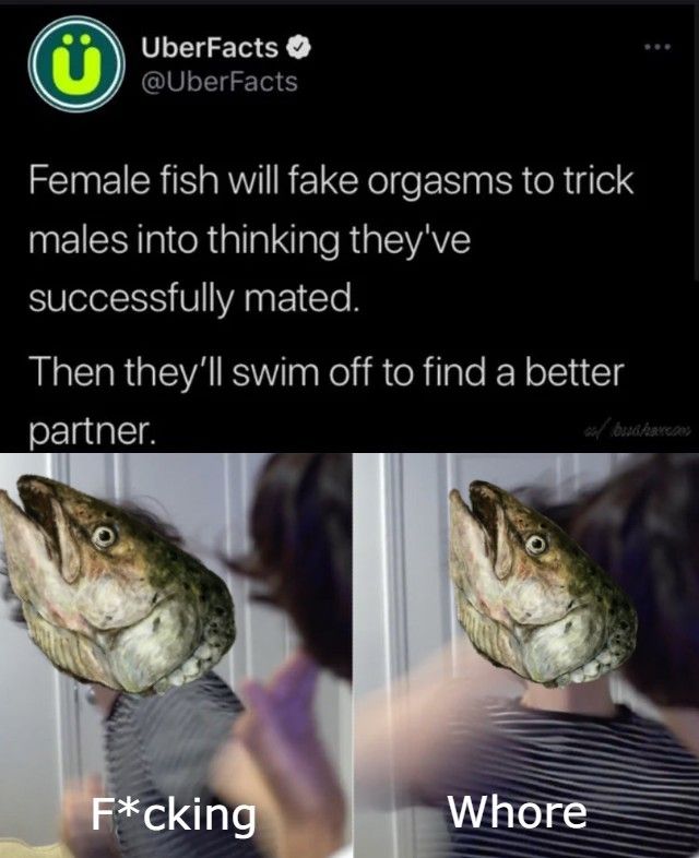 She cheated on me ;-; | Scrolller