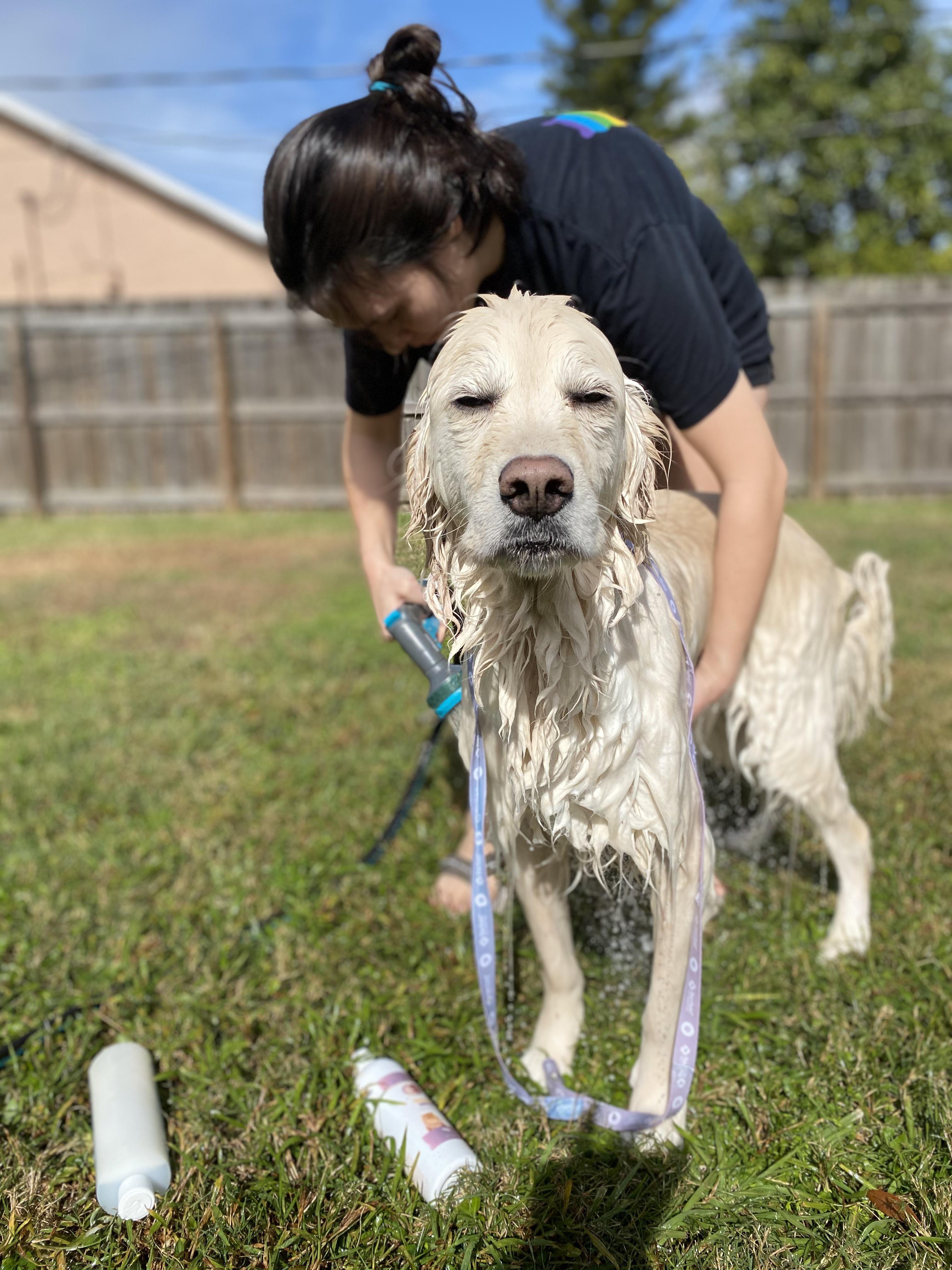 She doesn’t like baths, can you tell? | Scrolller