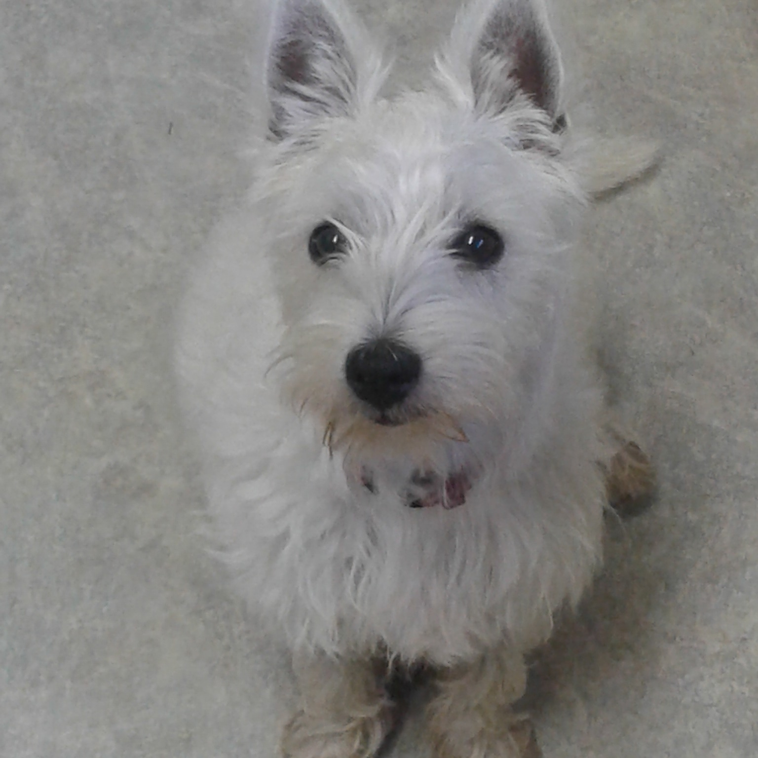 She had her first groom on Tuesday! | Scrolller