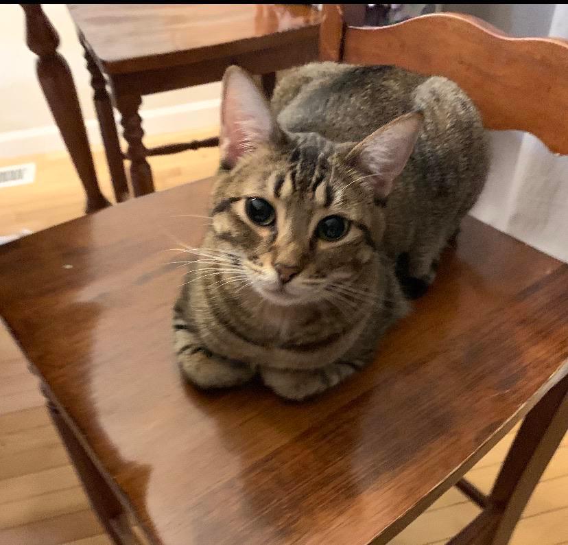 She has perfect feetsies | Scrolller