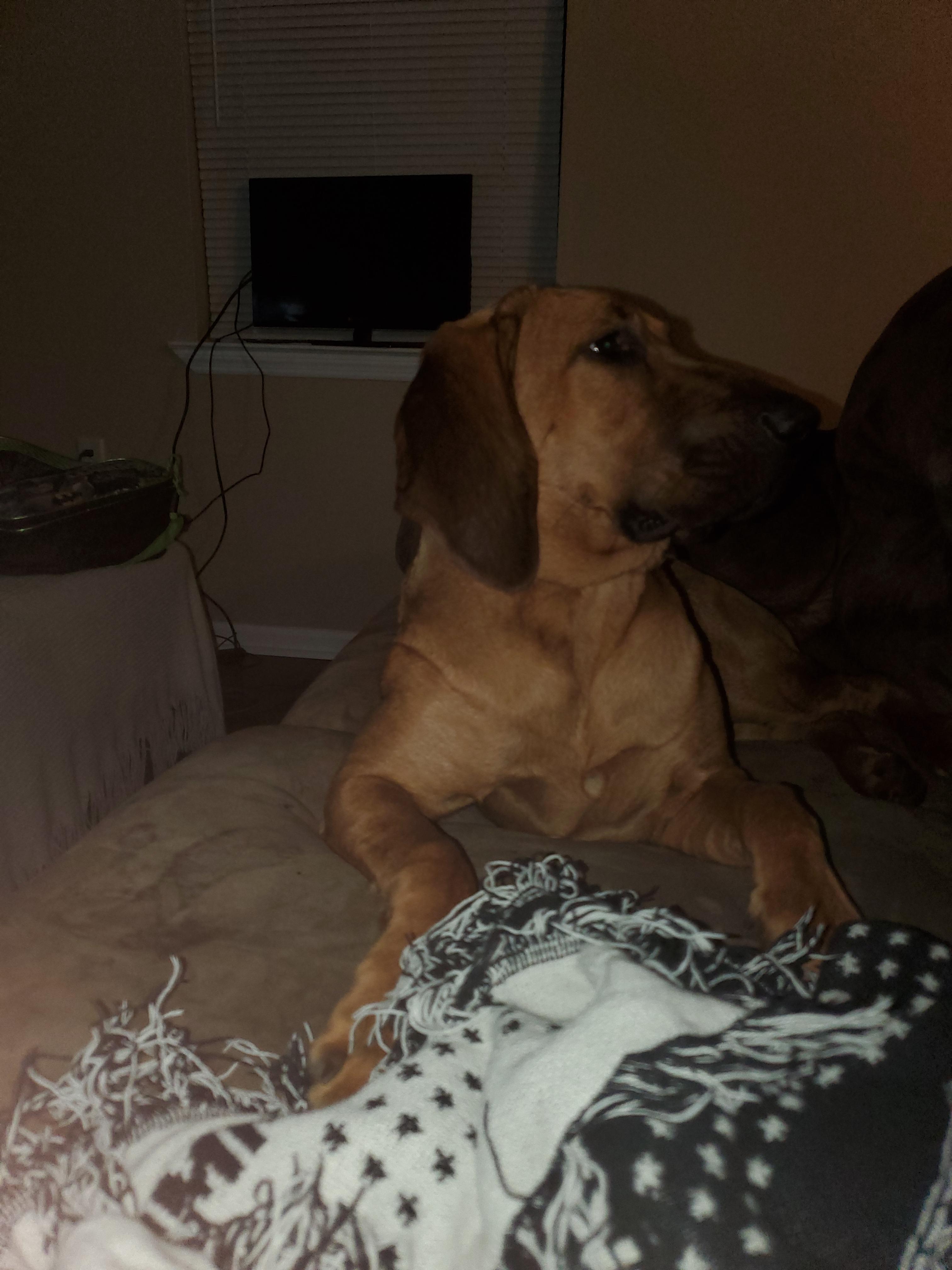 She is getting soo big | Scrolller