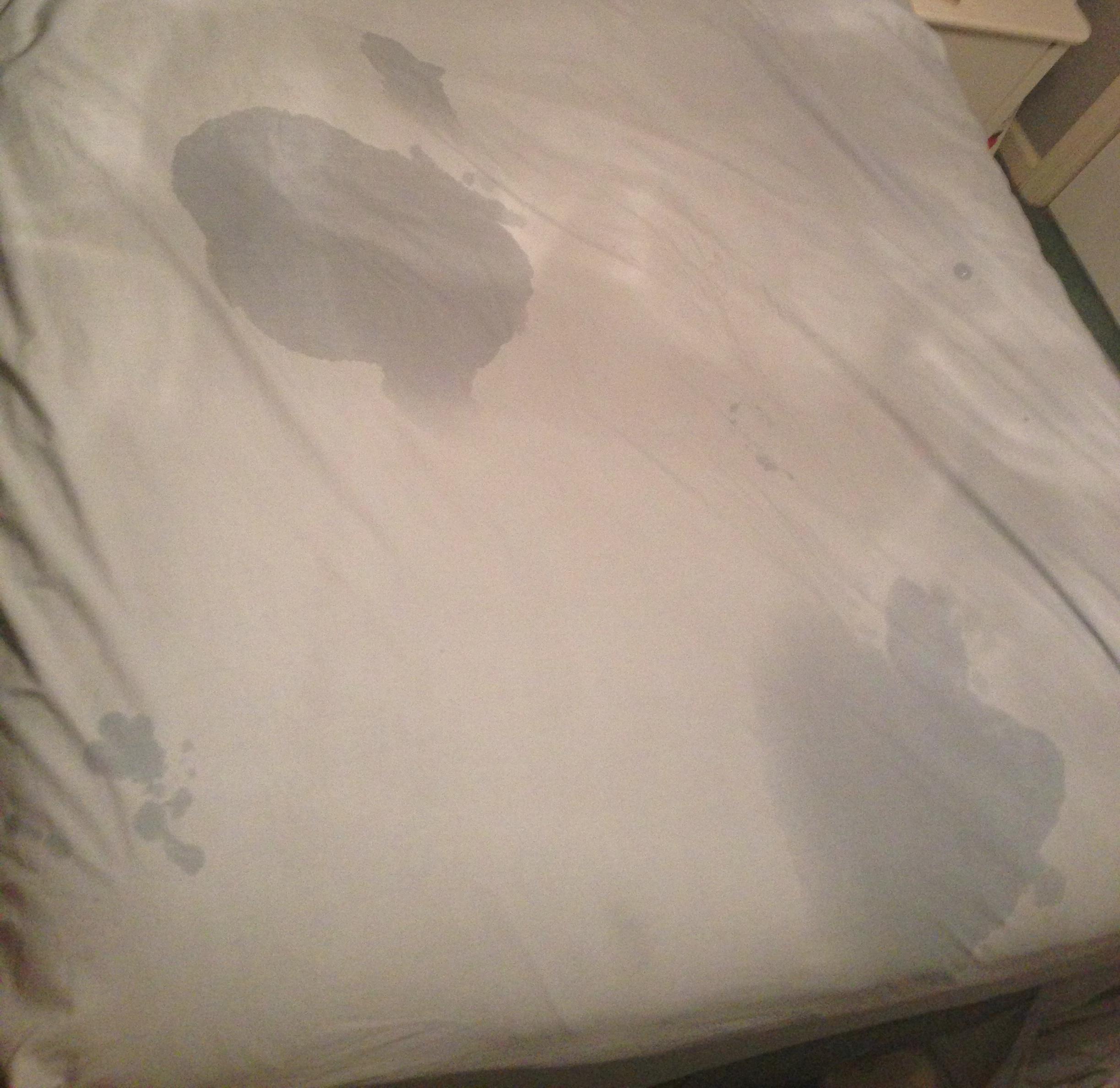 she left the bed soaked | Scrolller