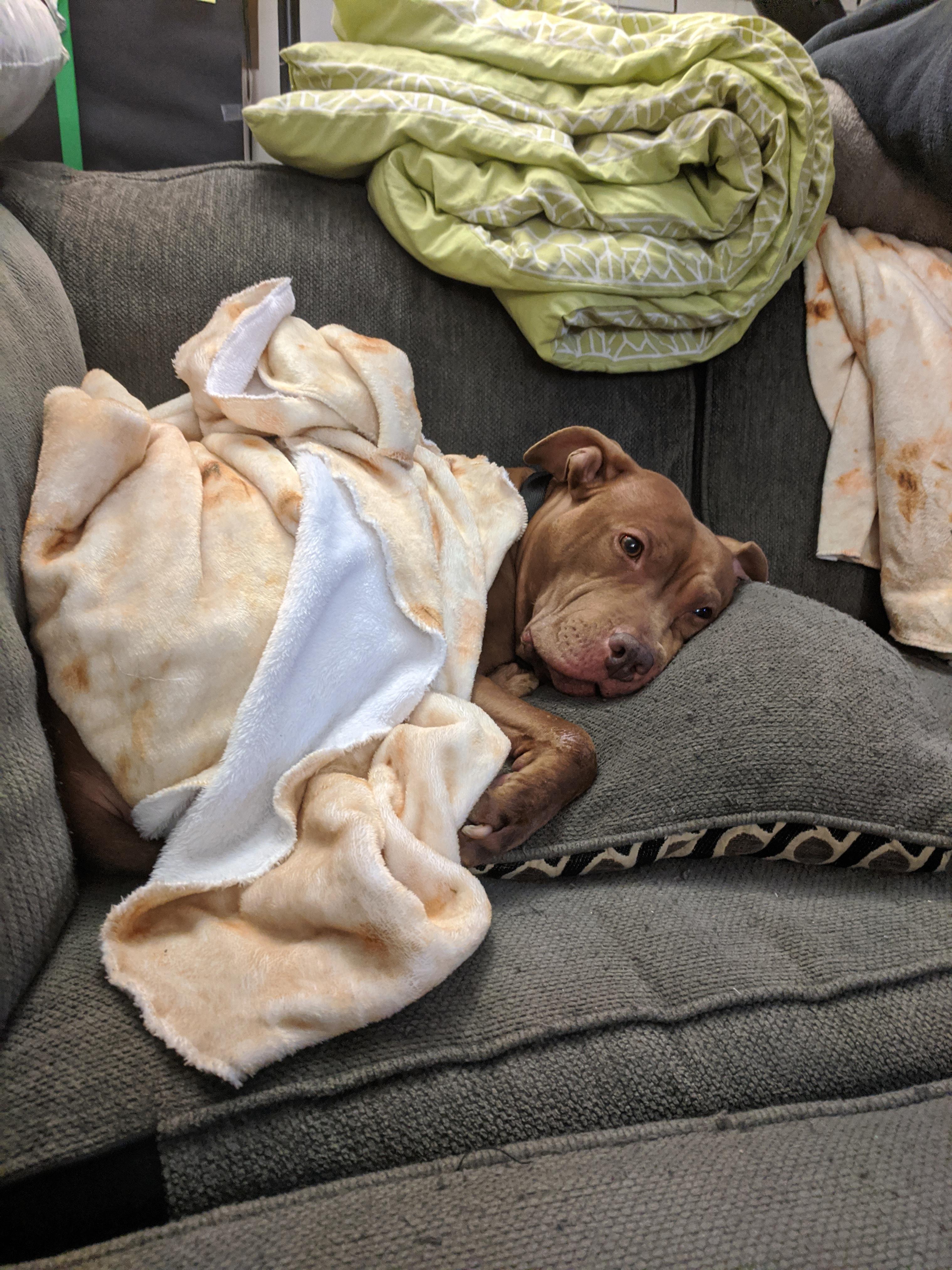 She looks like she is contemplating life. | Scrolller