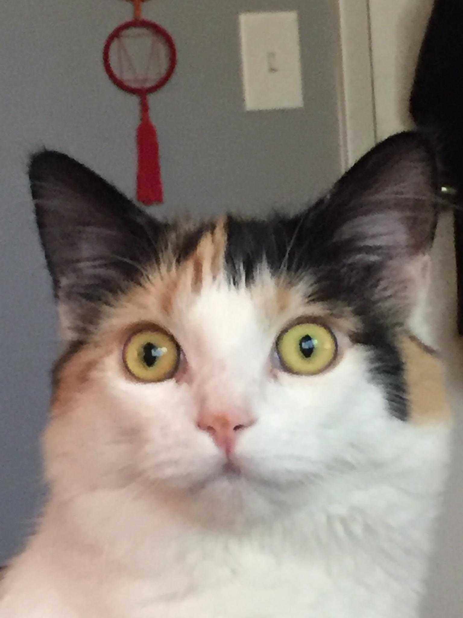 She looks like she’s having Vietnam war flashbacks | Scrolller